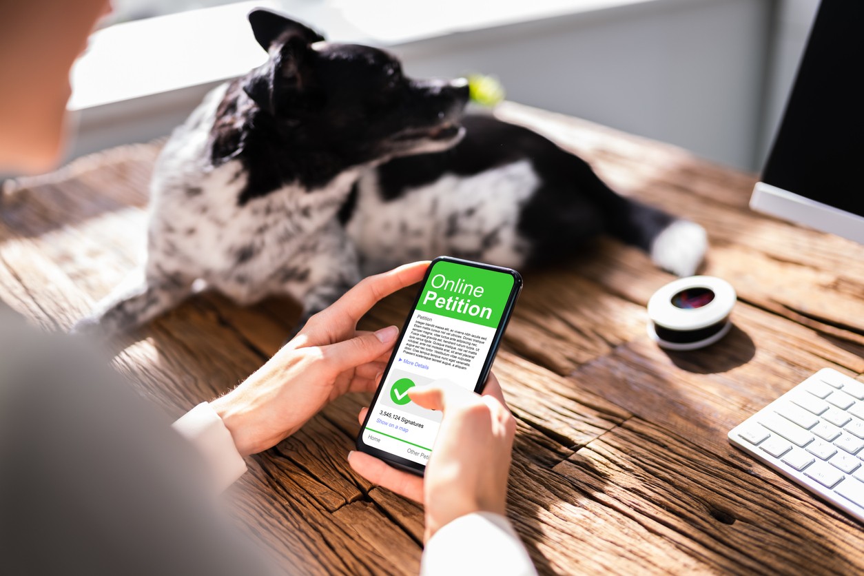 5 ways to keep communications up with your supporters - by CamBuildr